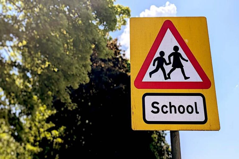 Navigating School Zone Traffic Laws: What You Need to Know - Michigan ...